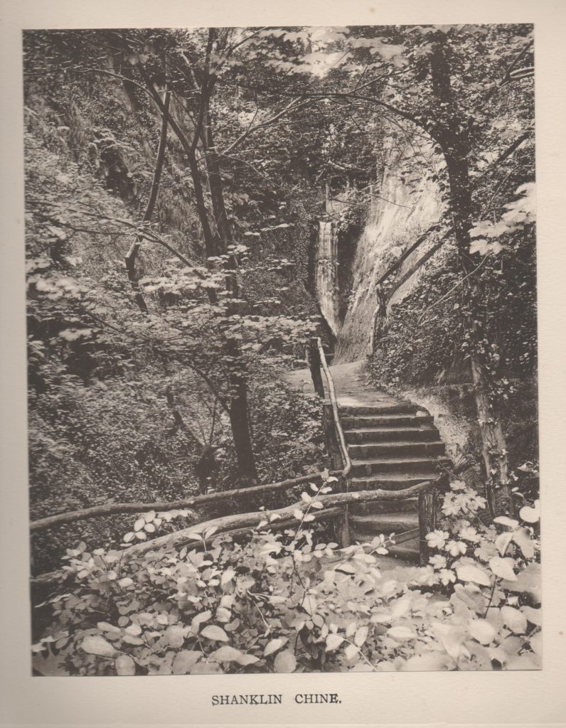 Victorian photo #49: Shanklin Chine, Isle of Wight (100 Gems of English ...
